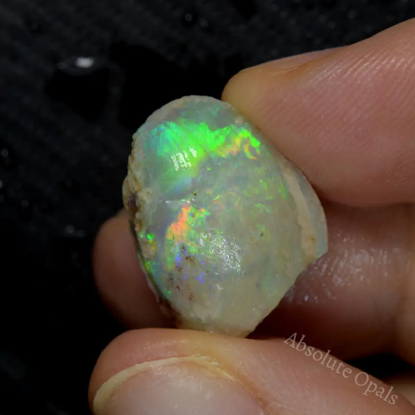 12.90 cts Australian Opal Rough Lightning Ridge Shell Fossil Gem ...