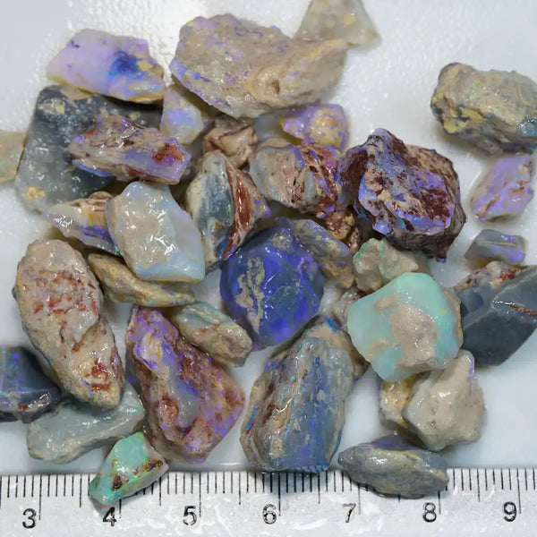 173 cts Rough Opal Lightning Ridge -Fossils - Absolute Opals & Gems