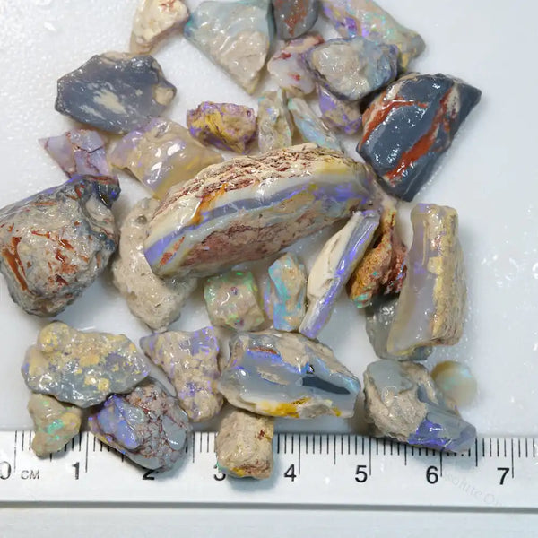 180 cts Rough Opal Lightning Ridge -Fossils - Absolute Opals & Gems