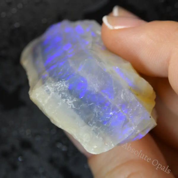 205 cts Australian Rough Opal Lightning Ridge - Absolute Opals & Gems