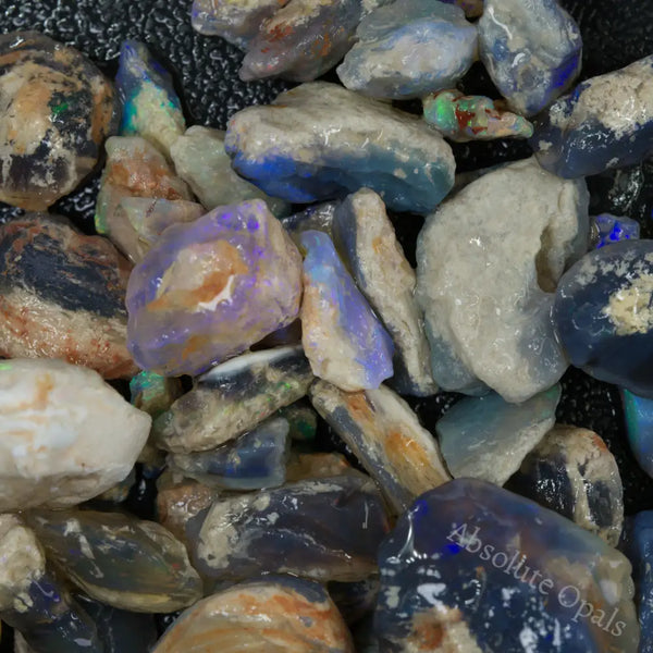 240 cts Australian Rough Fossil Opal Collection Lightning Ridge ...