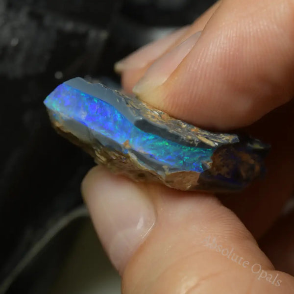 44 cts Black Rough Opal Lightning Ridge - Absolute Opals & Gems