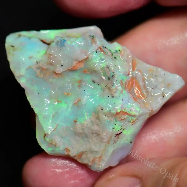 58.9 cts Australian Rough Opal for Carving Lightning Ridge - Absolute ...