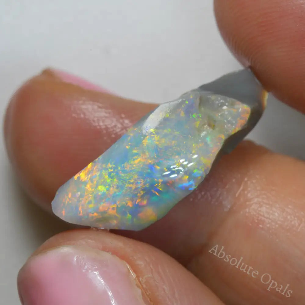 Rough Opal - Absolute Opals & Gems