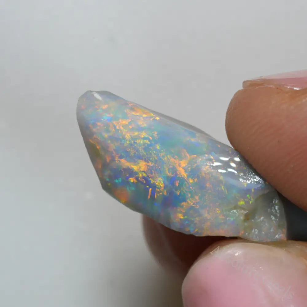 Rough Opal - Absolute Opals & Gems
